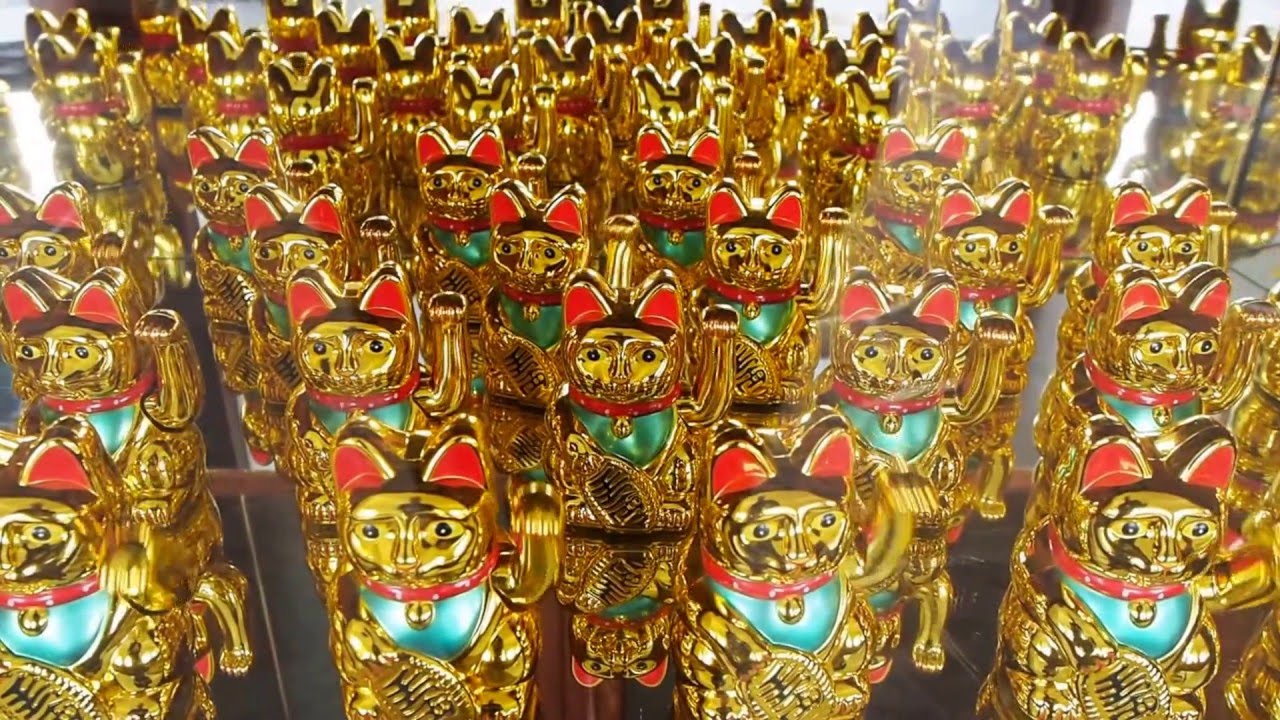 Winke – Winke ! ｜ 世界のカワイイ 猫ちゃん動画 まとめ サイト